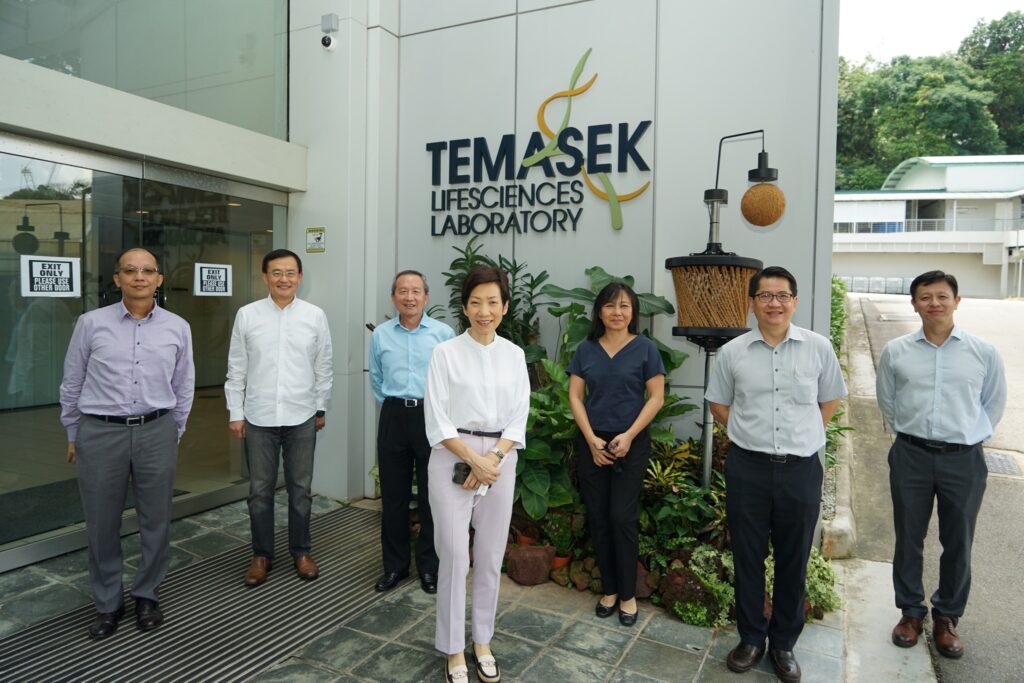 TLL 20th Anniversary Microsite